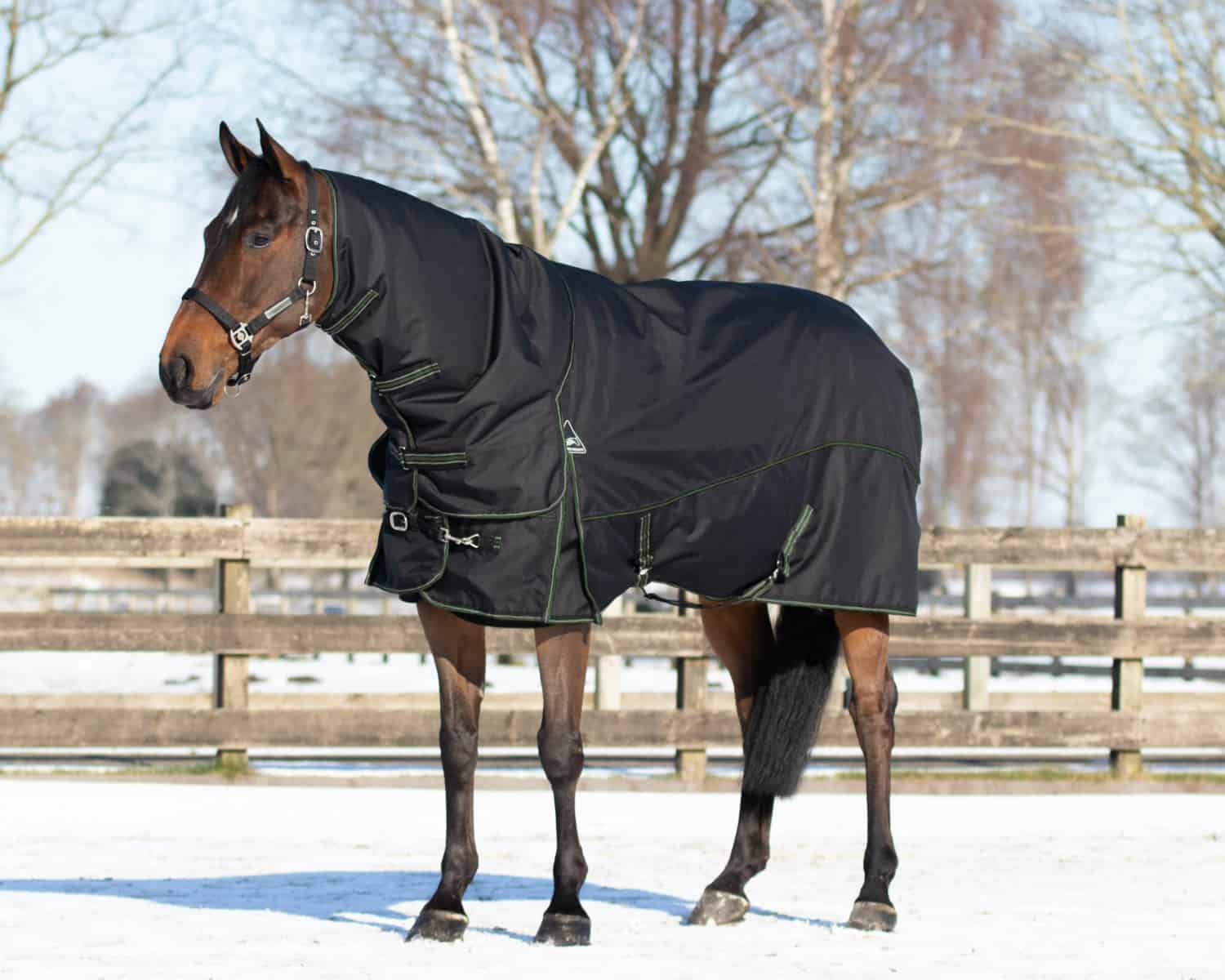 Winterdecken von der Marke QHP - HorSeven Blog DE